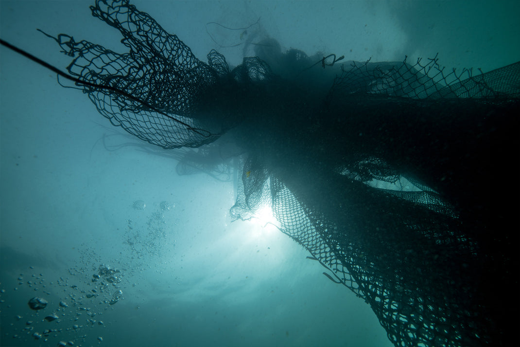 NetPlus – Passenger