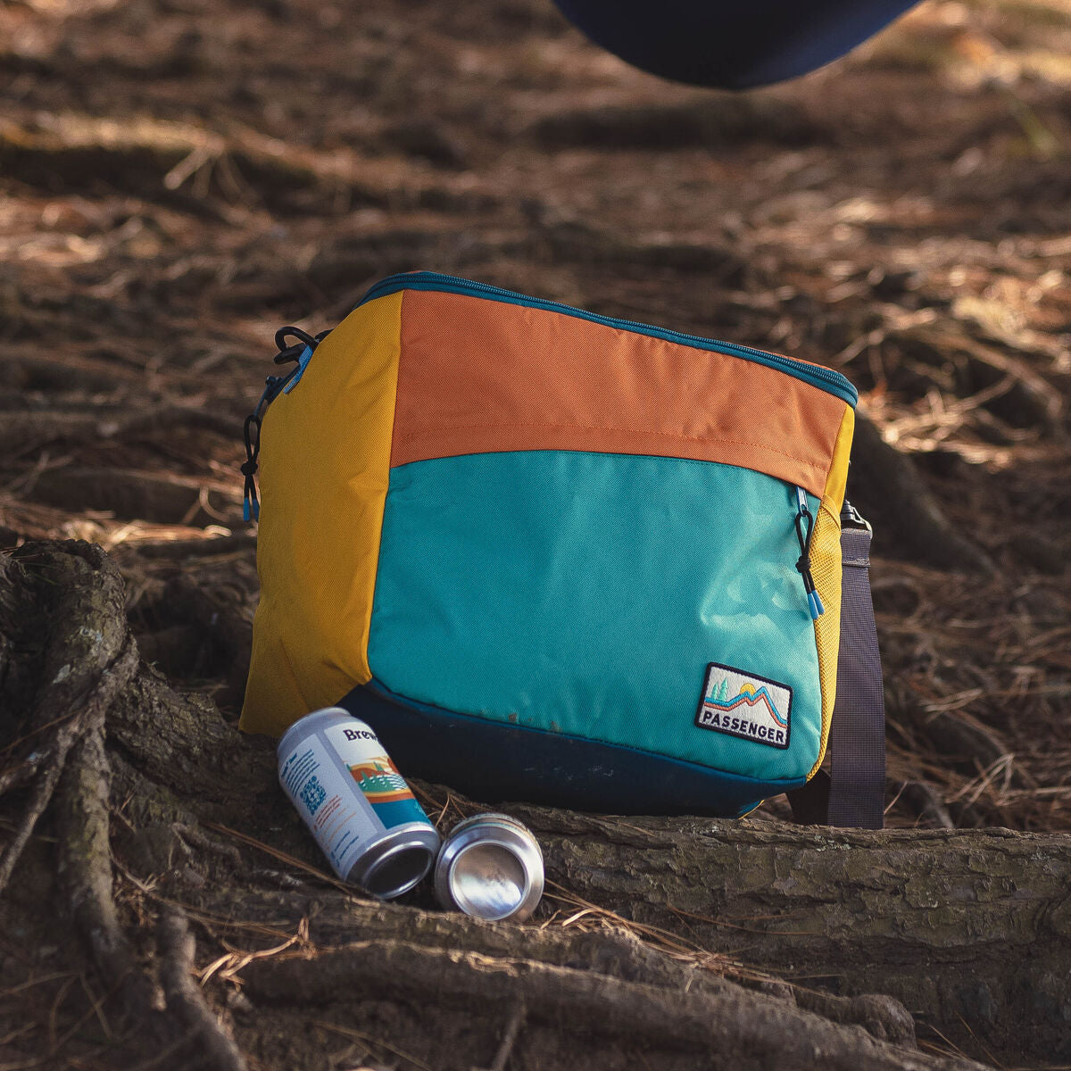Day Pack Recycled Cooler Bag Multi Colour – Passenger